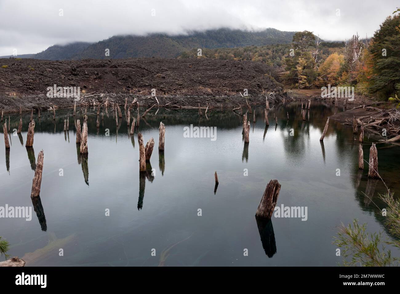 Volcanic lake created from lava that separated the river Stock Photo ...