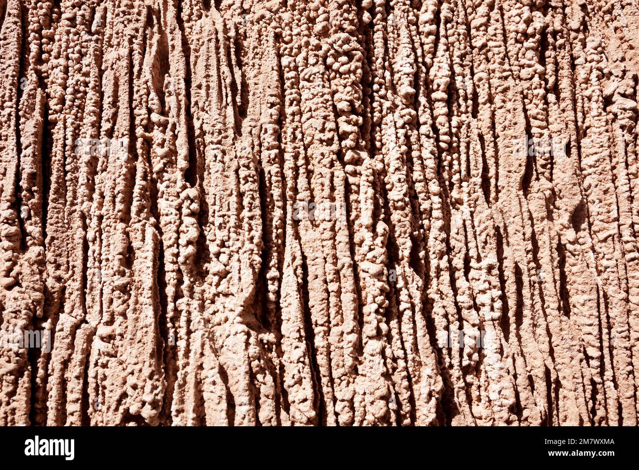 Complex textures hi-res stock photography and images - Alamy