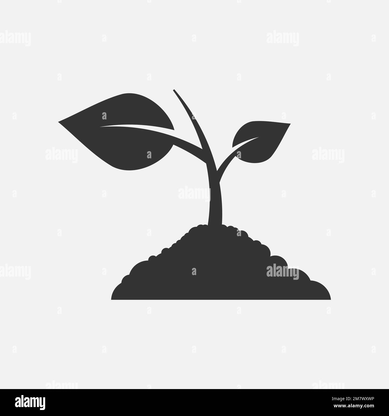 Water sprout Black and White Stock Photos & Images - Alamy