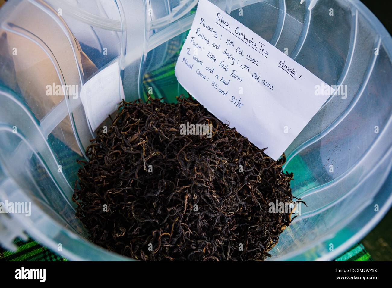 Kenyan Tea green leaves cooking drying up processing traditional way ...