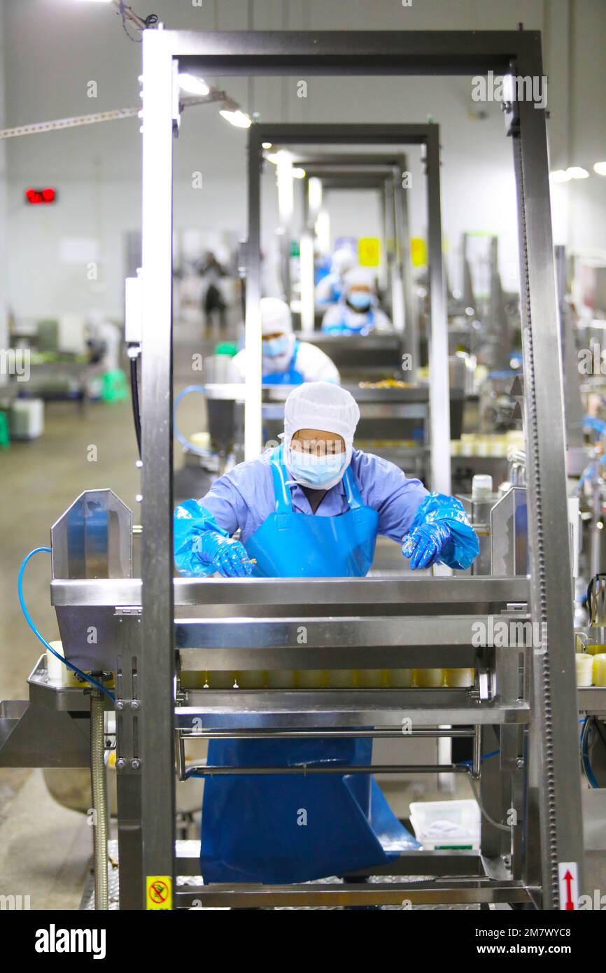 Prepared vegetable hi-res stock photography and images - Alamy