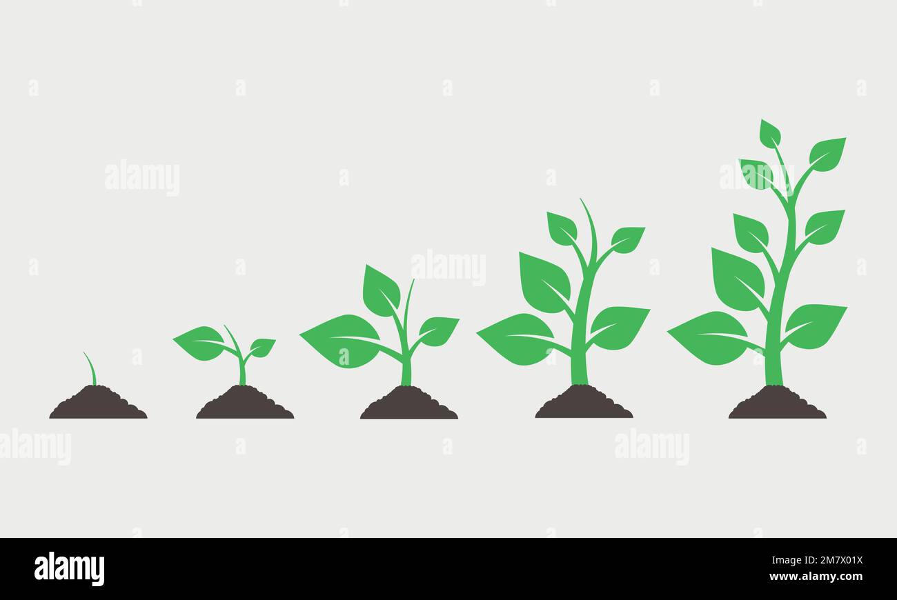 Plants growing in the ground. Vector illustration. Eps 10 Stock Vector ...