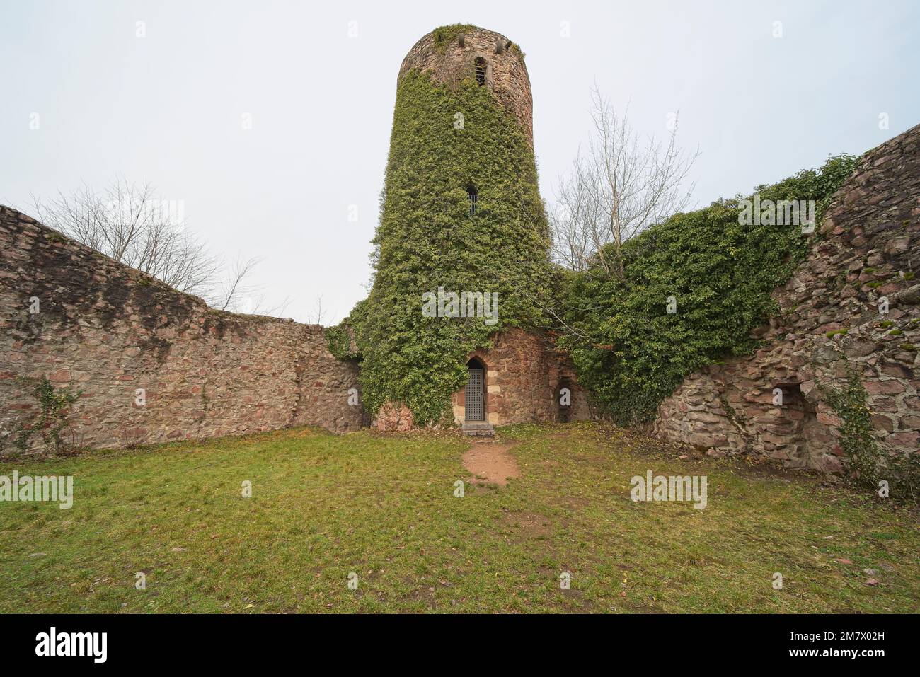 the ruins of sausenburg in southern germany in the district of kandern ...