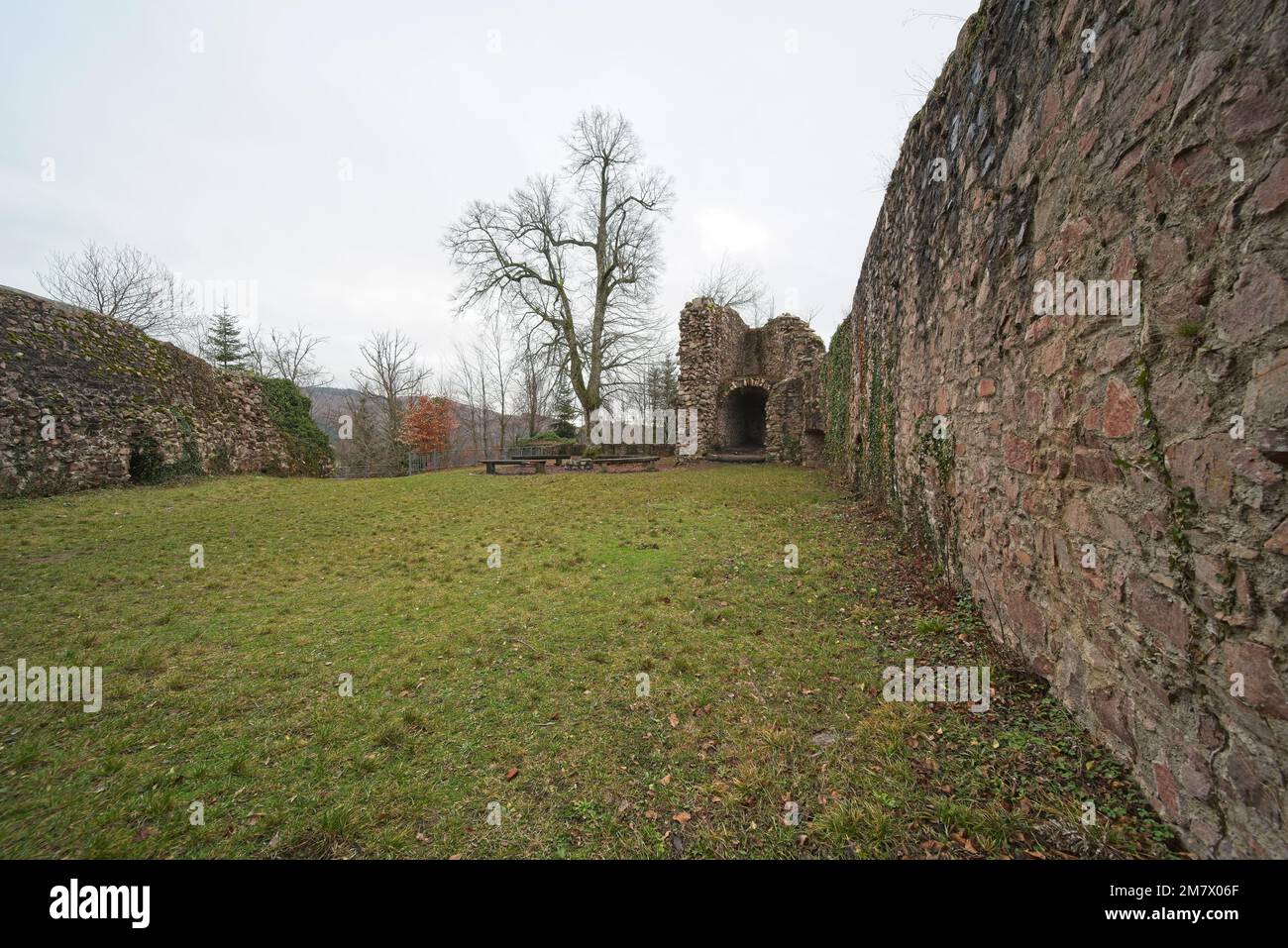 the ruins of sausenburg in southern germany in the district of kandern ...
