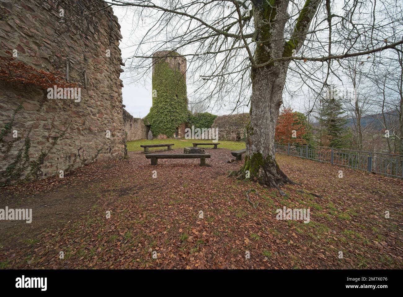 the ruins of sausenburg in southern germany in the district of kandern ...