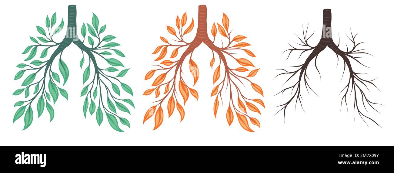 Vector set of human lungs from green and orange leaves and branches ...