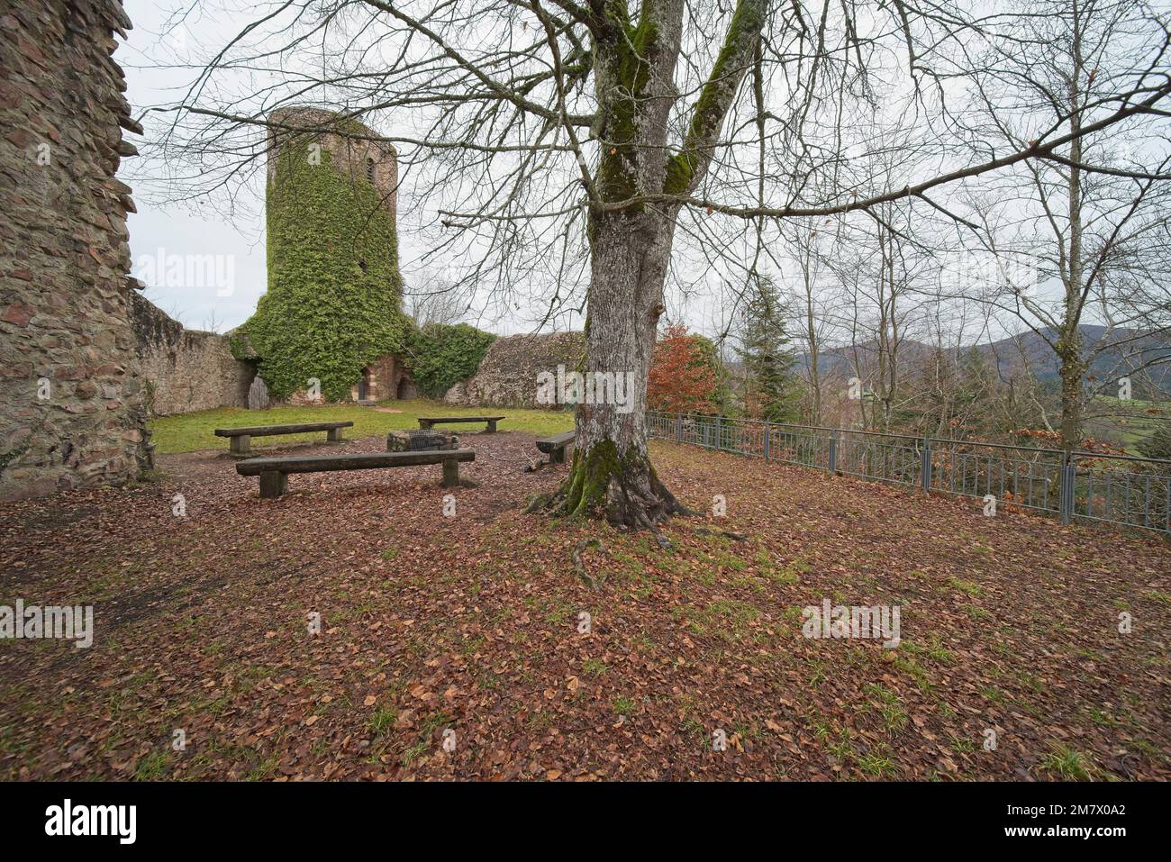 the ruins of sausenburg in southern germany in the district of kandern ...