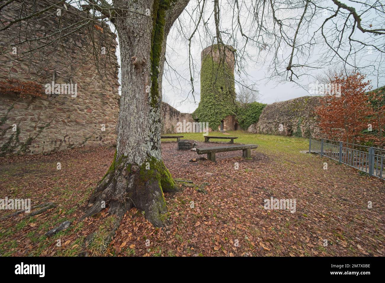 Sausenburg castle hi-res stock photography and images - Alamy