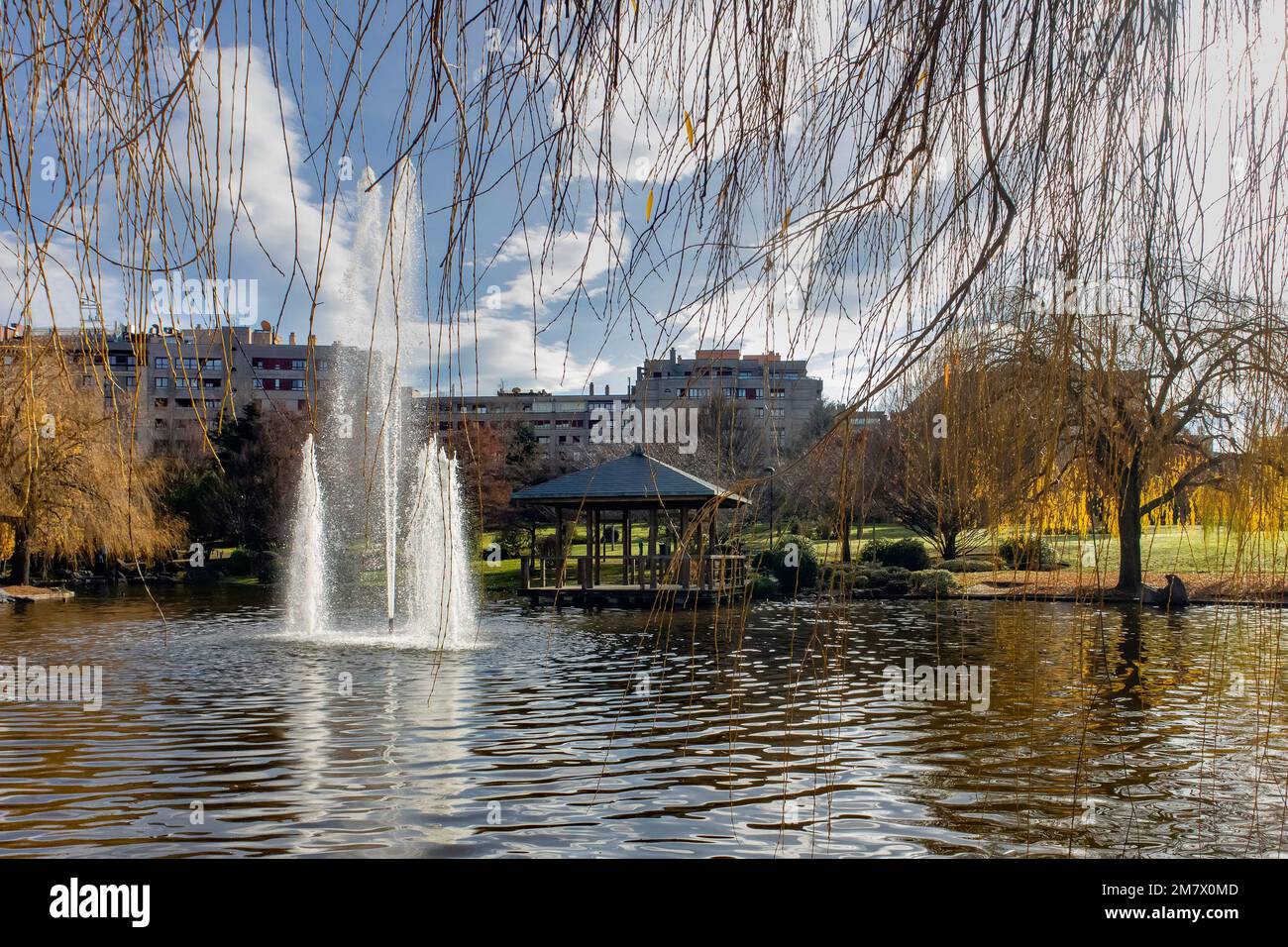 public city park with pond and water fountain Stock Photo - Alamy