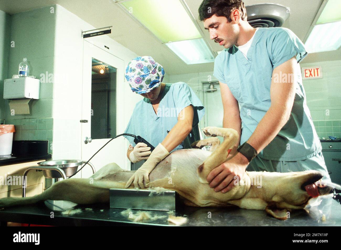 Rothrock hi-res stock photography and images - Alamy