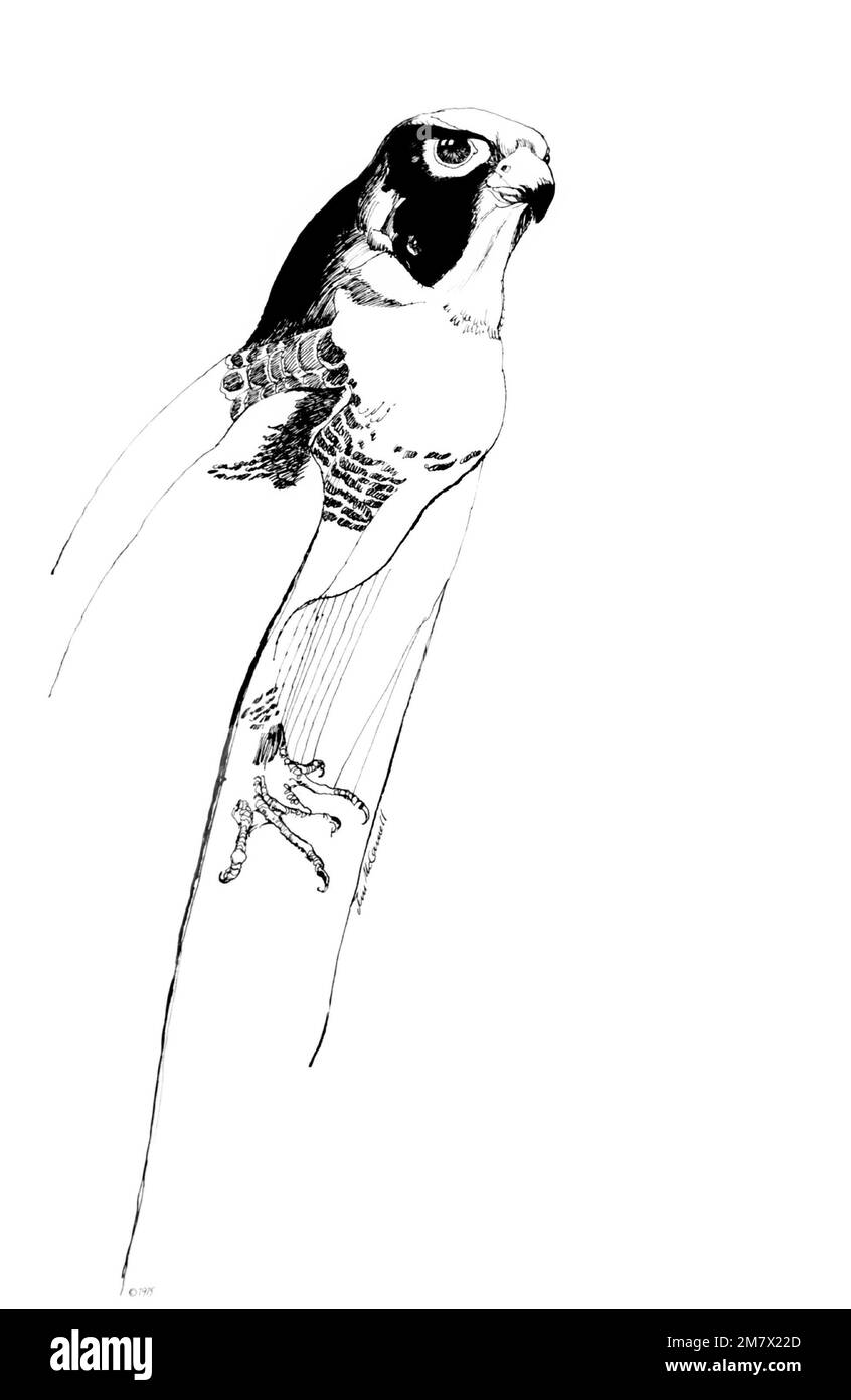 Jim o Black and White Stock Photos & Images - Alamy