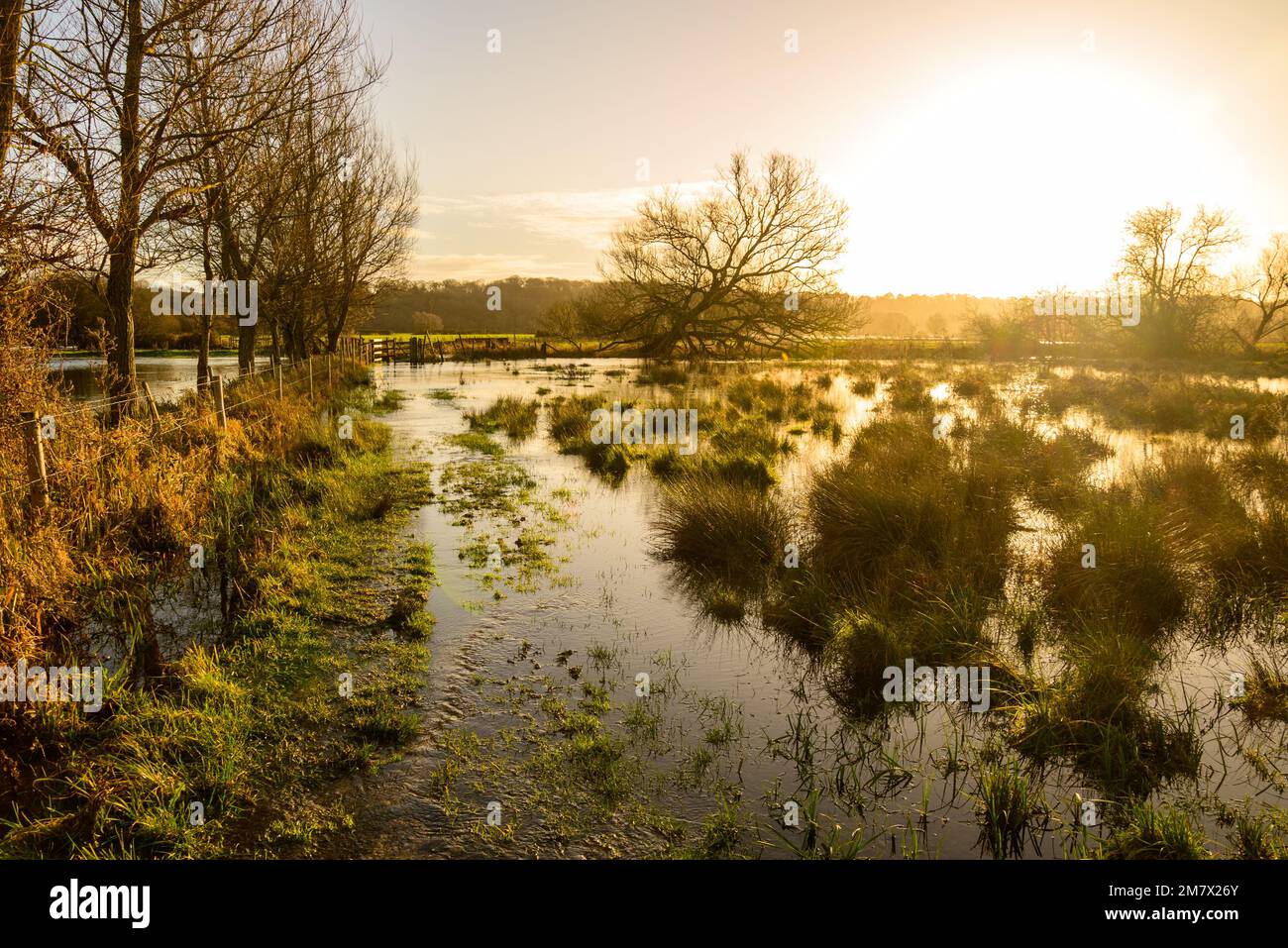 Avon Valley, Burgate, Fordingbridge, Hampshire, UK, 11th January 2023 ...