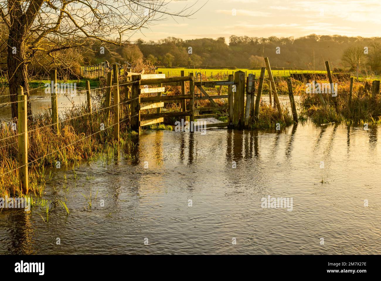 Avon Valley, Burgate, Fordingbridge, Hampshire, UK, 11th January 2023 ...