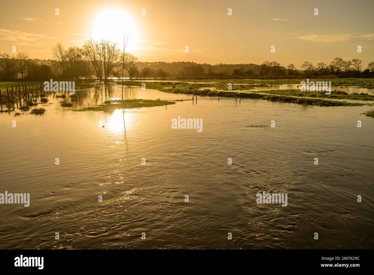 Avon Valley, Burgate, Fordingbridge, Hampshire, UK, 11th January 2023 ...