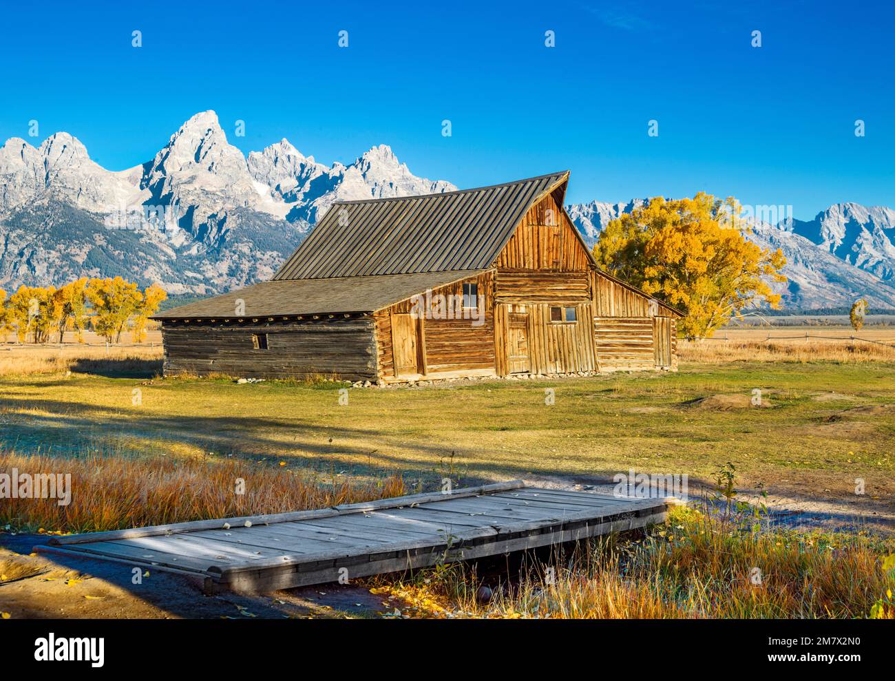 Early Morning,Moulton Barn,Mormon Row,Historic District in Autumn, Fall ...