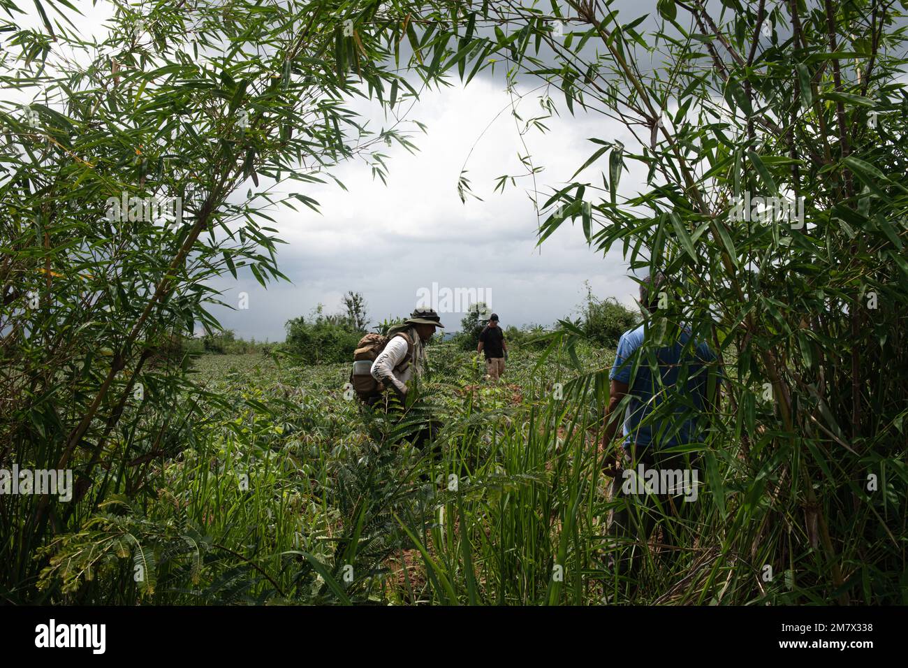 Team members search an investigation location during a joint field activity (JFA) in Savannakhet ...