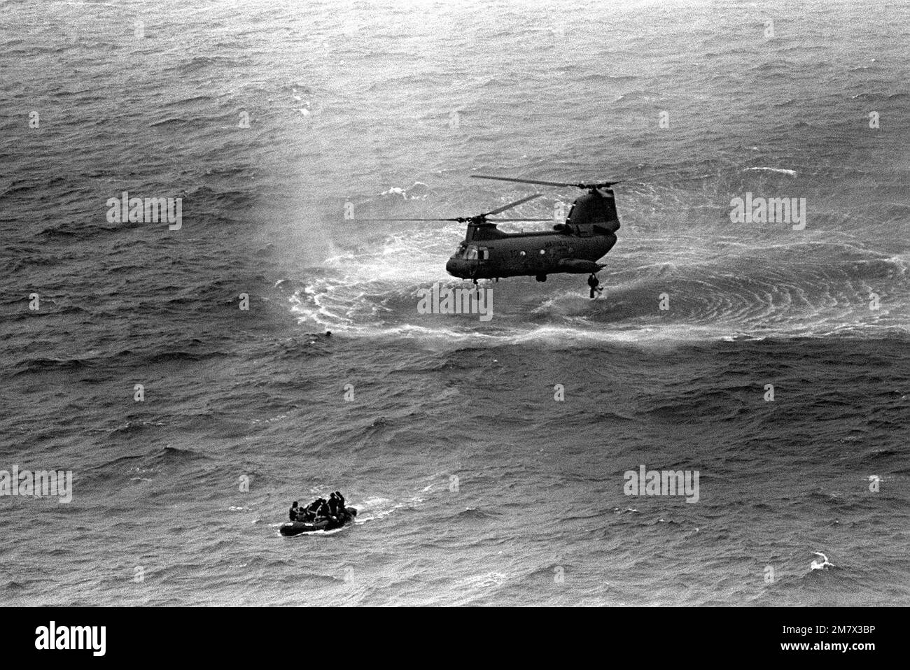 Marines from 1ST Reconnaissance Battalion go through water training by ...