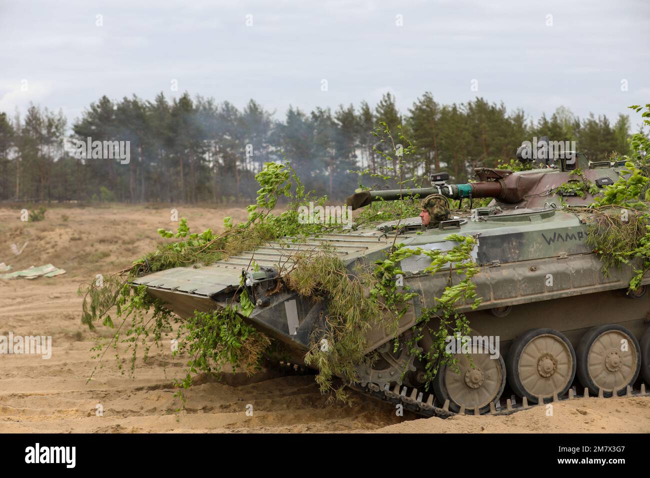 A Polish BMP-1 infantry fighting vehicle advances onto the battlefield ...