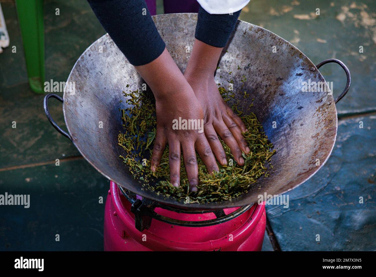 Kenyan Tea green leaves cooking drying up processing traditional way ...