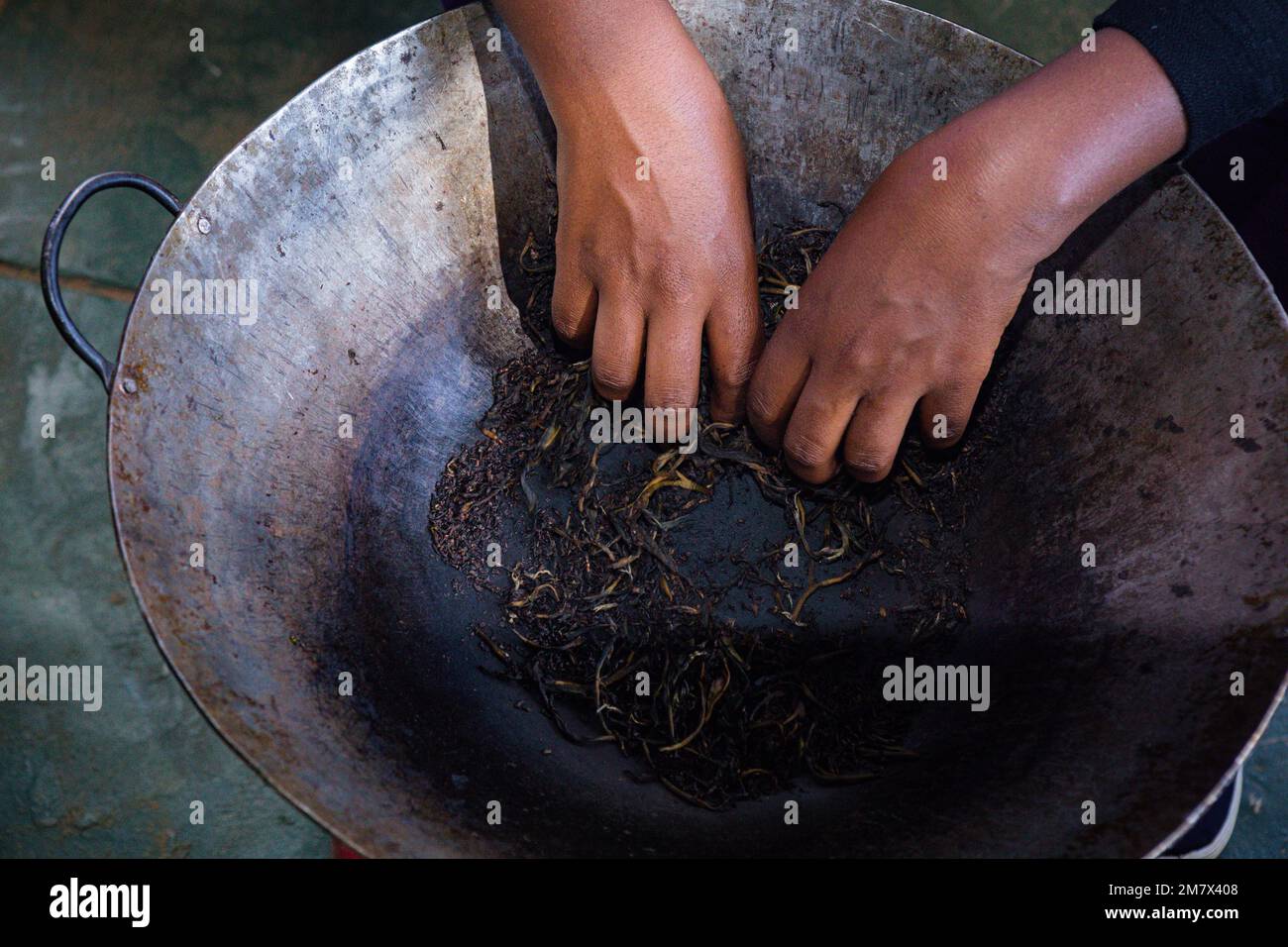 Kenyan Tea green leaves cooking drying up processing traditional way ...
