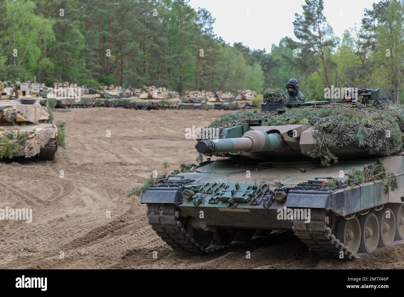 Leopard 2pl hi-res stock photography and images - Alamy