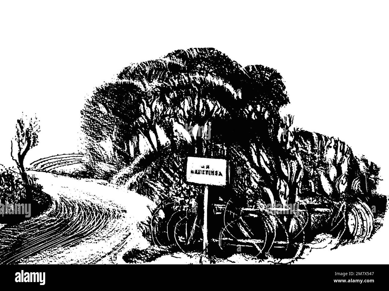 Artwork: "No Admittance" Artist: Mabel Peacock. Country: Unknown Stock ...