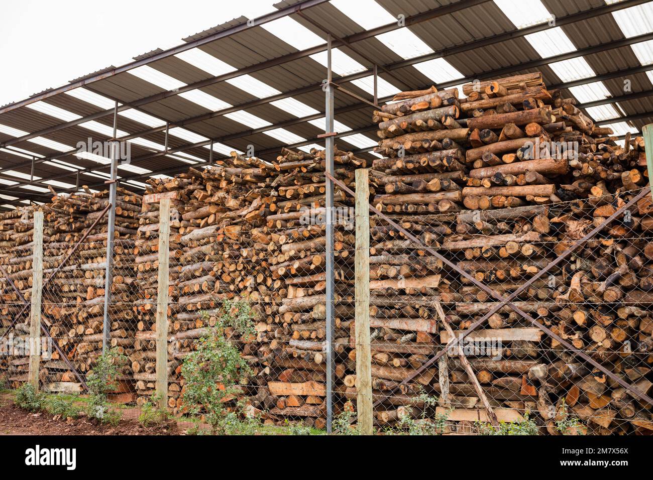 Kenya Firewood timber stock store in Muranga County Stock Photo - Alamy