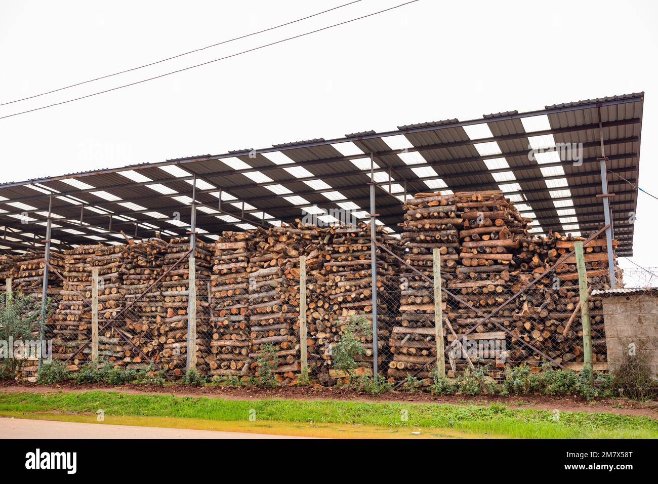 Kenya Firewood timber stock store in Muranga County Stock Photo - Alamy
