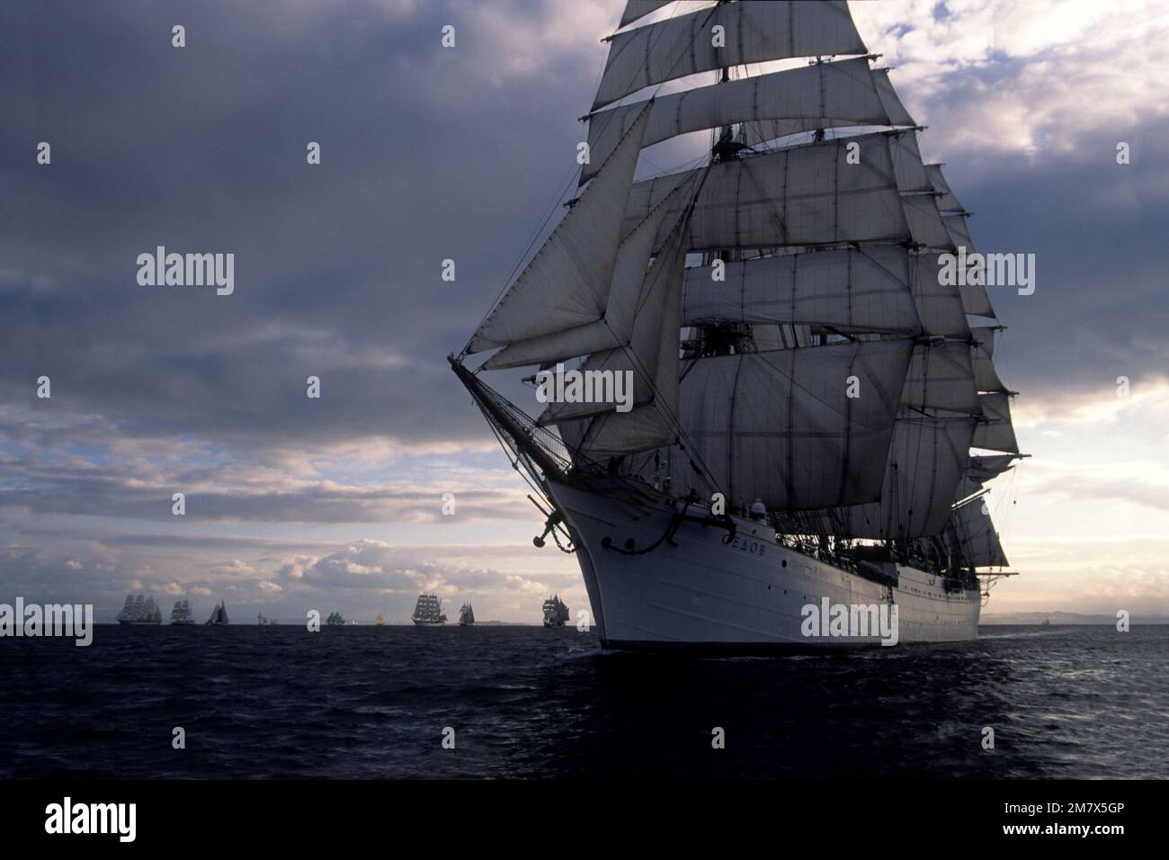 Four sail training barque sedov hi-res stock photography and images - Alamy