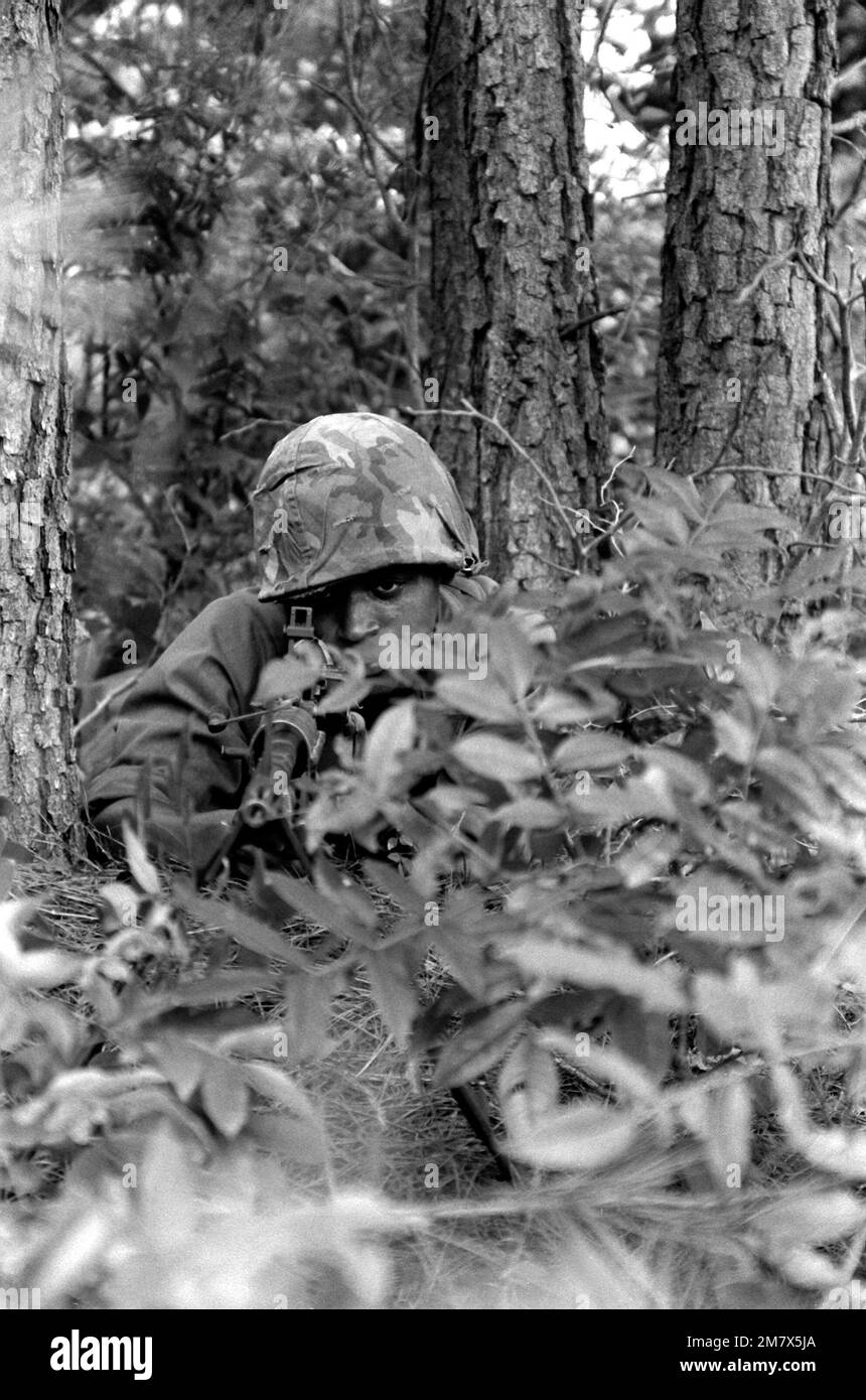 PFC. Michael Harris mans a concealed M-60 machine gun during annual ...