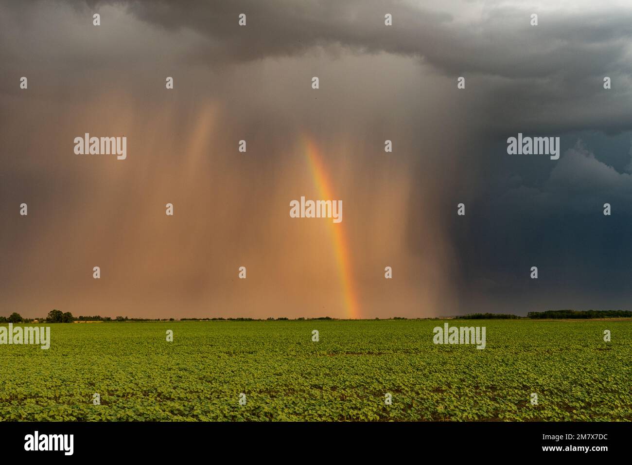 Downburst rain hi-res stock photography and images - Alamy