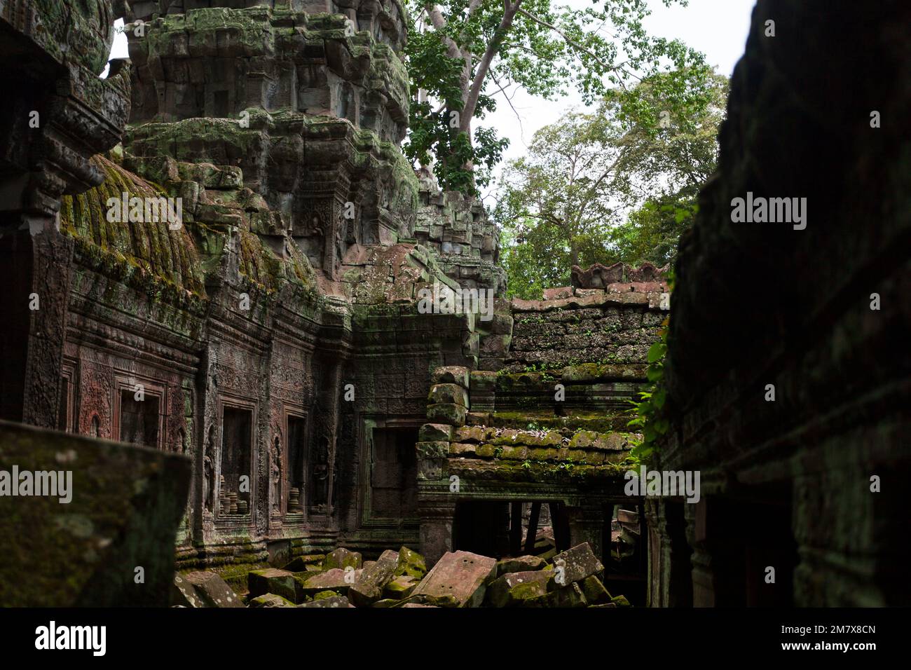 Ruins of Angkor in Cambodia Stock Photo - Alamy