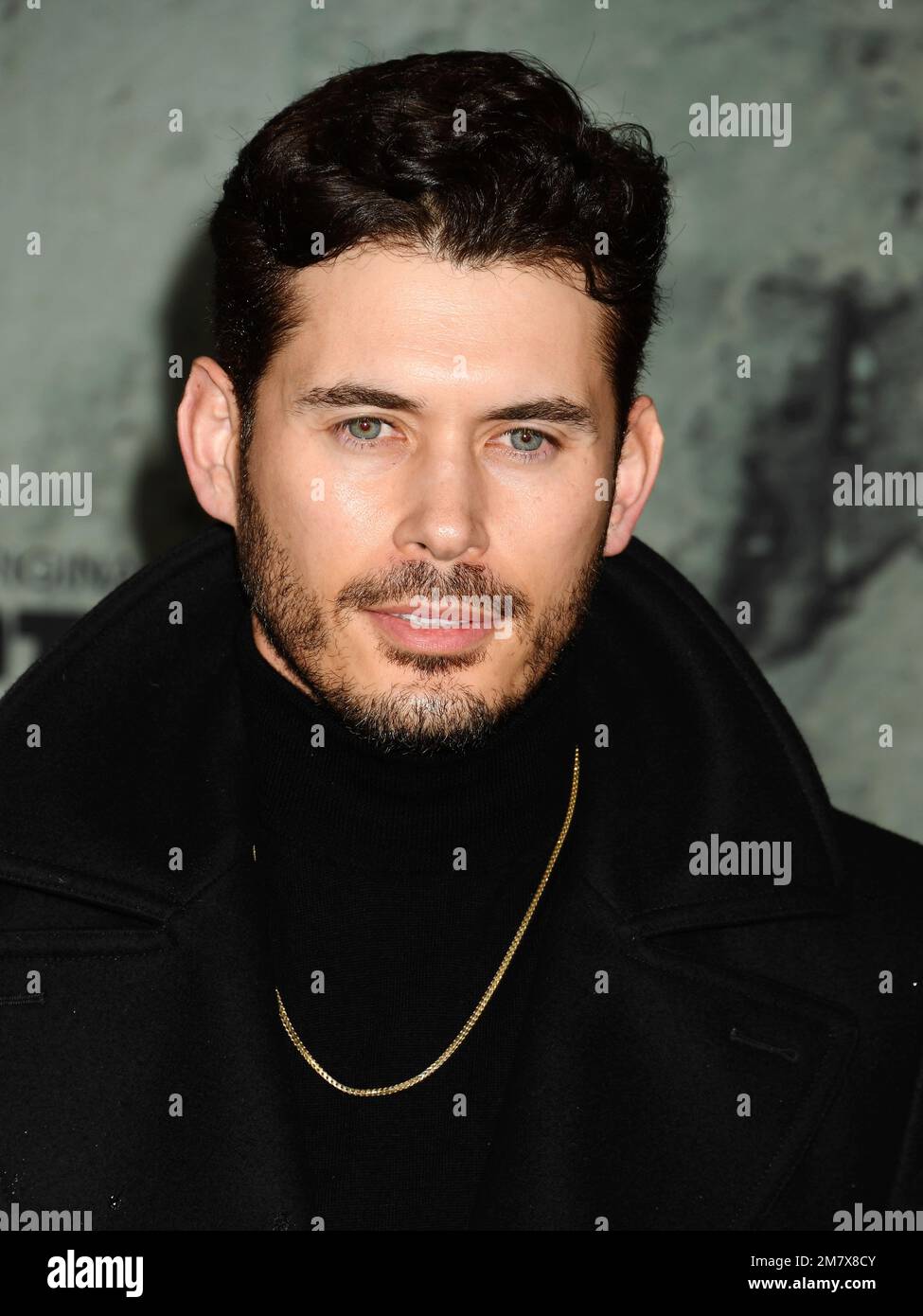 LOS ANGELES, CALIFORNIA - JANUARY 09: James Joseph attends the Los ...