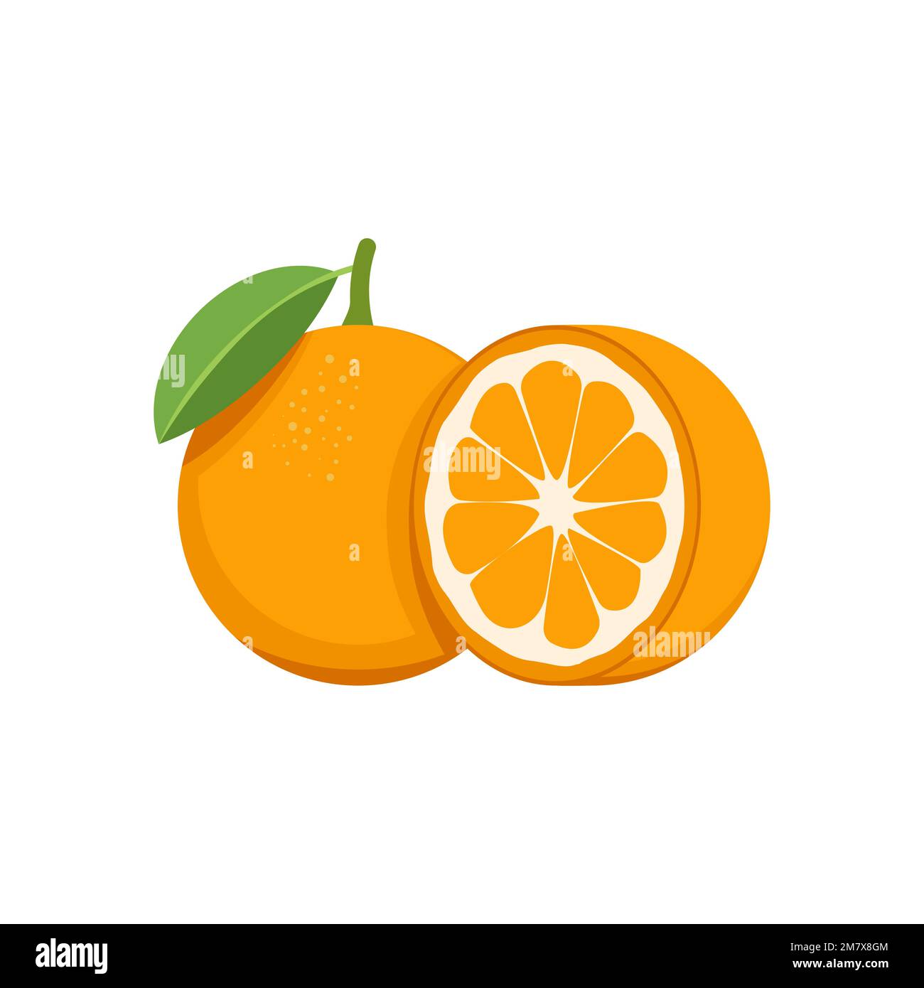 Orange cross section seeds Stock Vector Images - Alamy