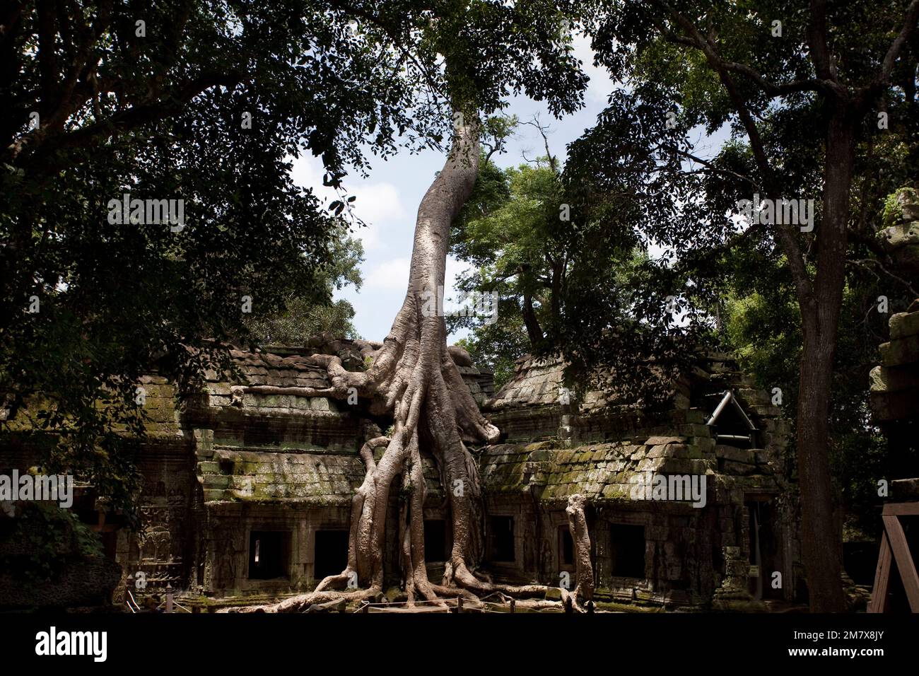 Temples of Angkor. Ta Prohm Stock Photo - Alamy