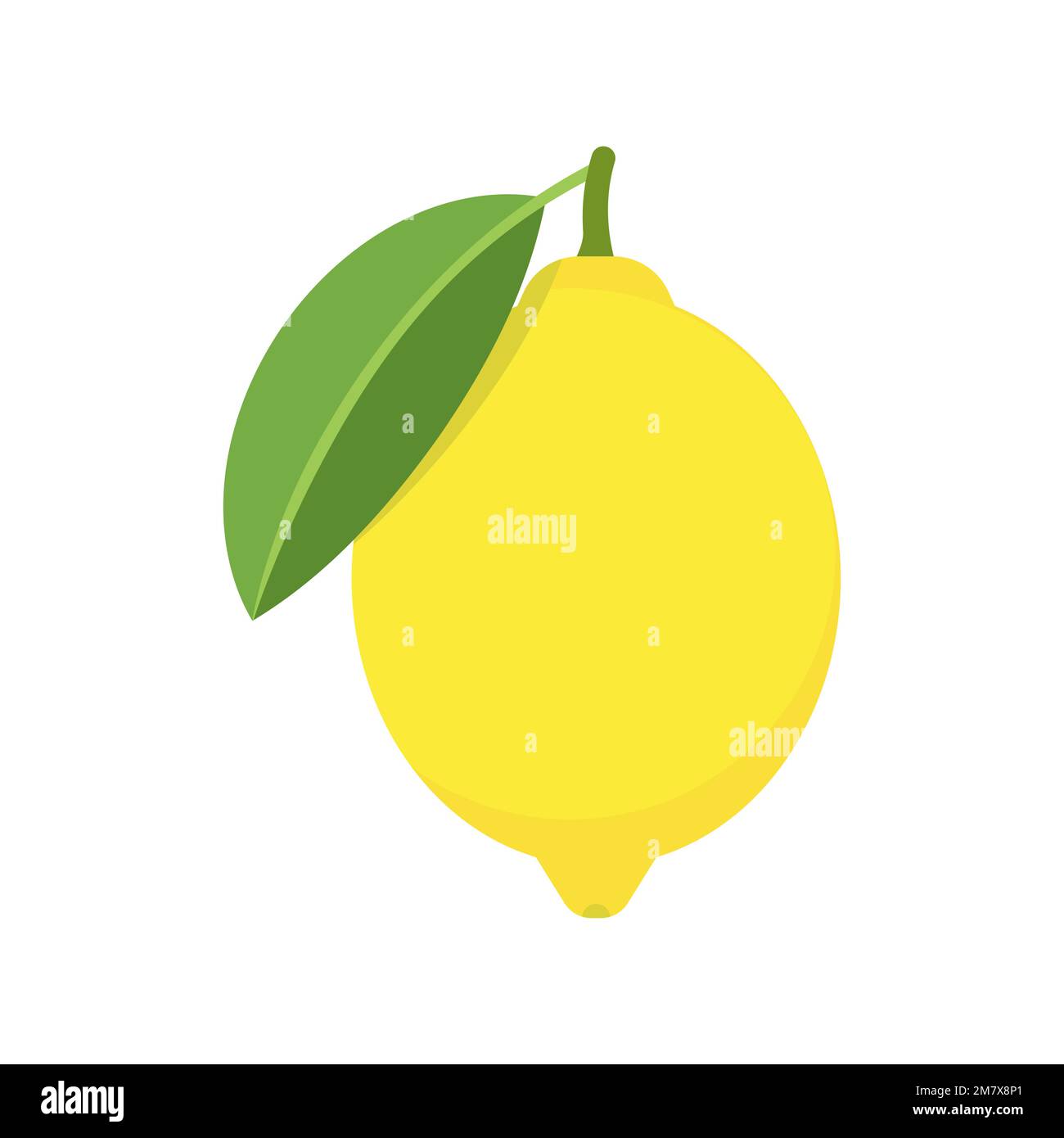 Fresh lemon fruits isolated on white background. Vector illustration ...