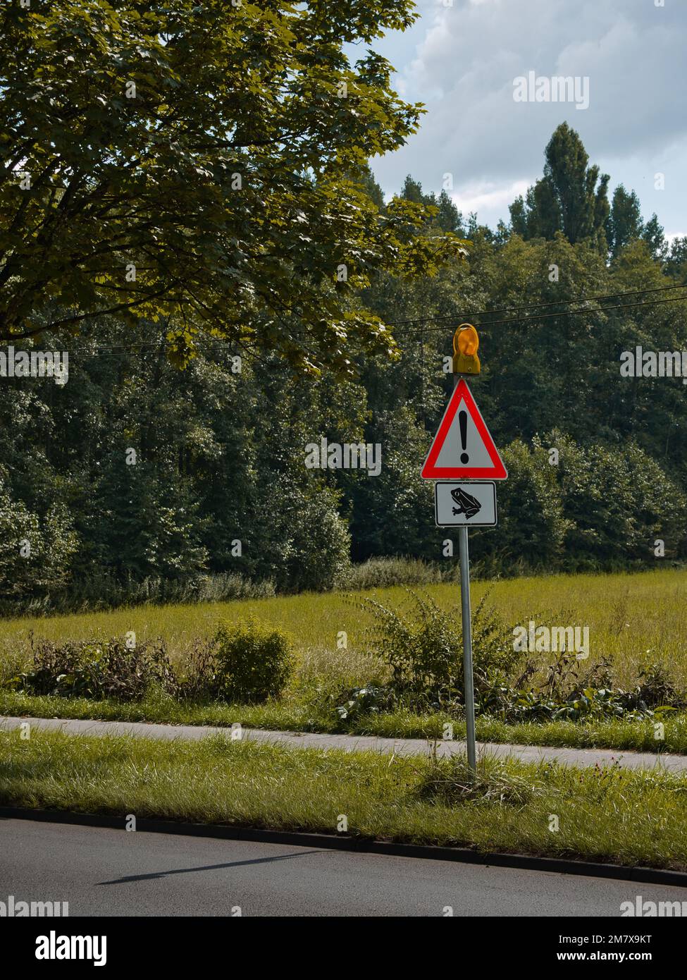 A German frog warning sign on a road in nature Stock Photo - Alamy