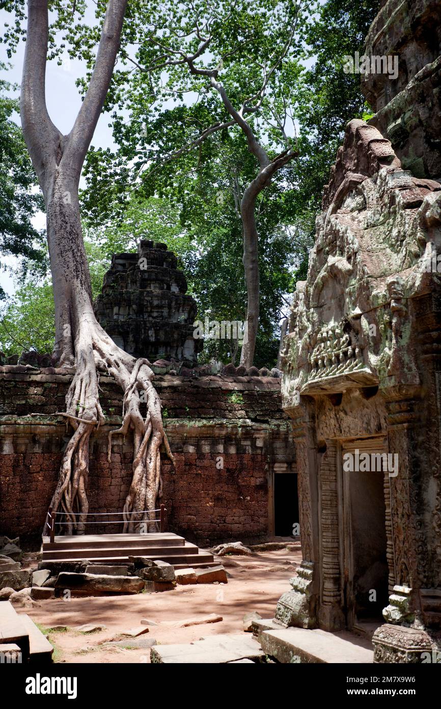 Temples of Angkor. Ta Prohm Stock Photo - Alamy