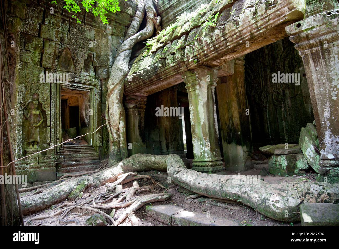 Temples of Angkor. Ta Prohm Stock Photo - Alamy