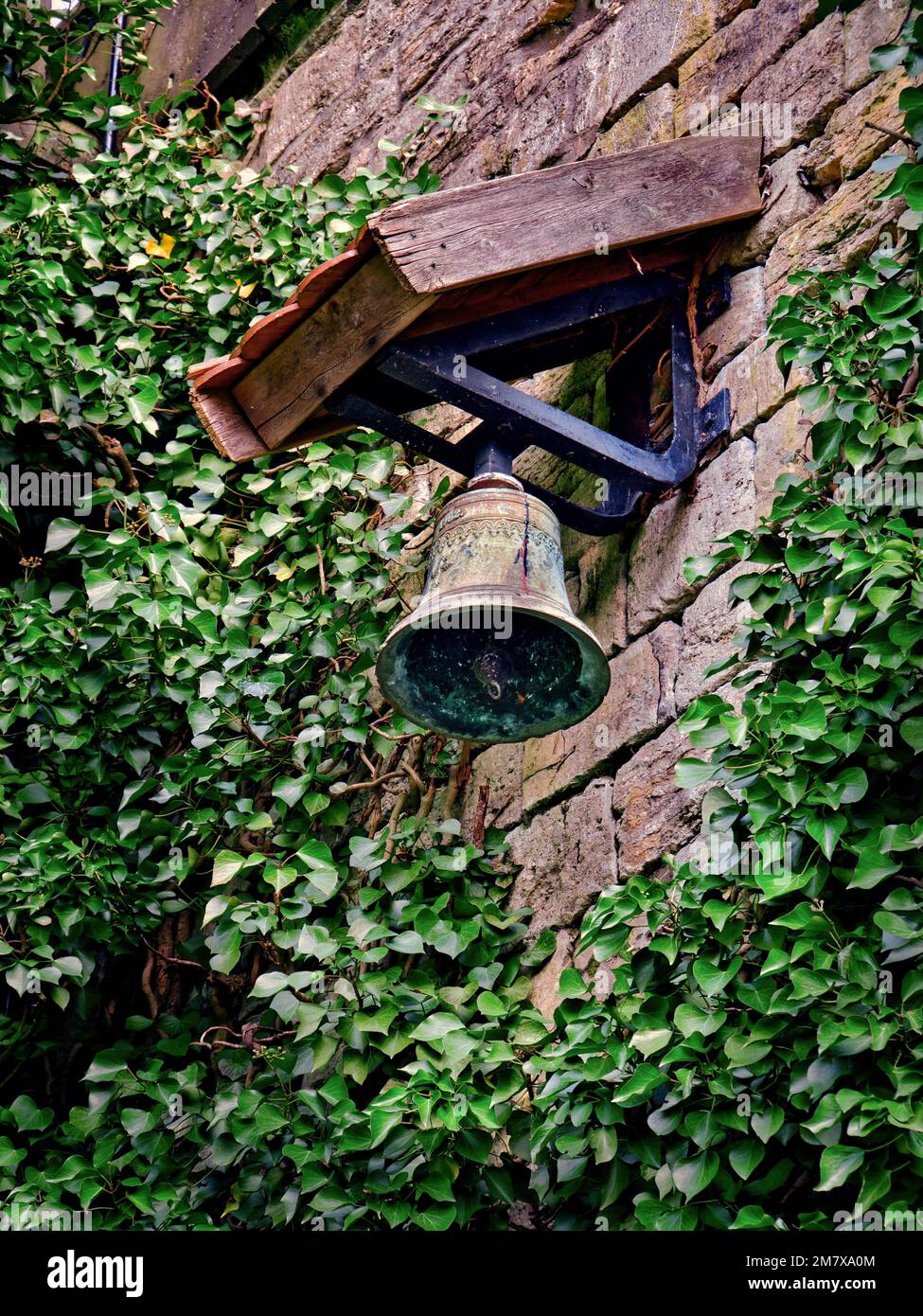 An old historic bell hanging on an ivy covered wall Stock Photo - Alamy