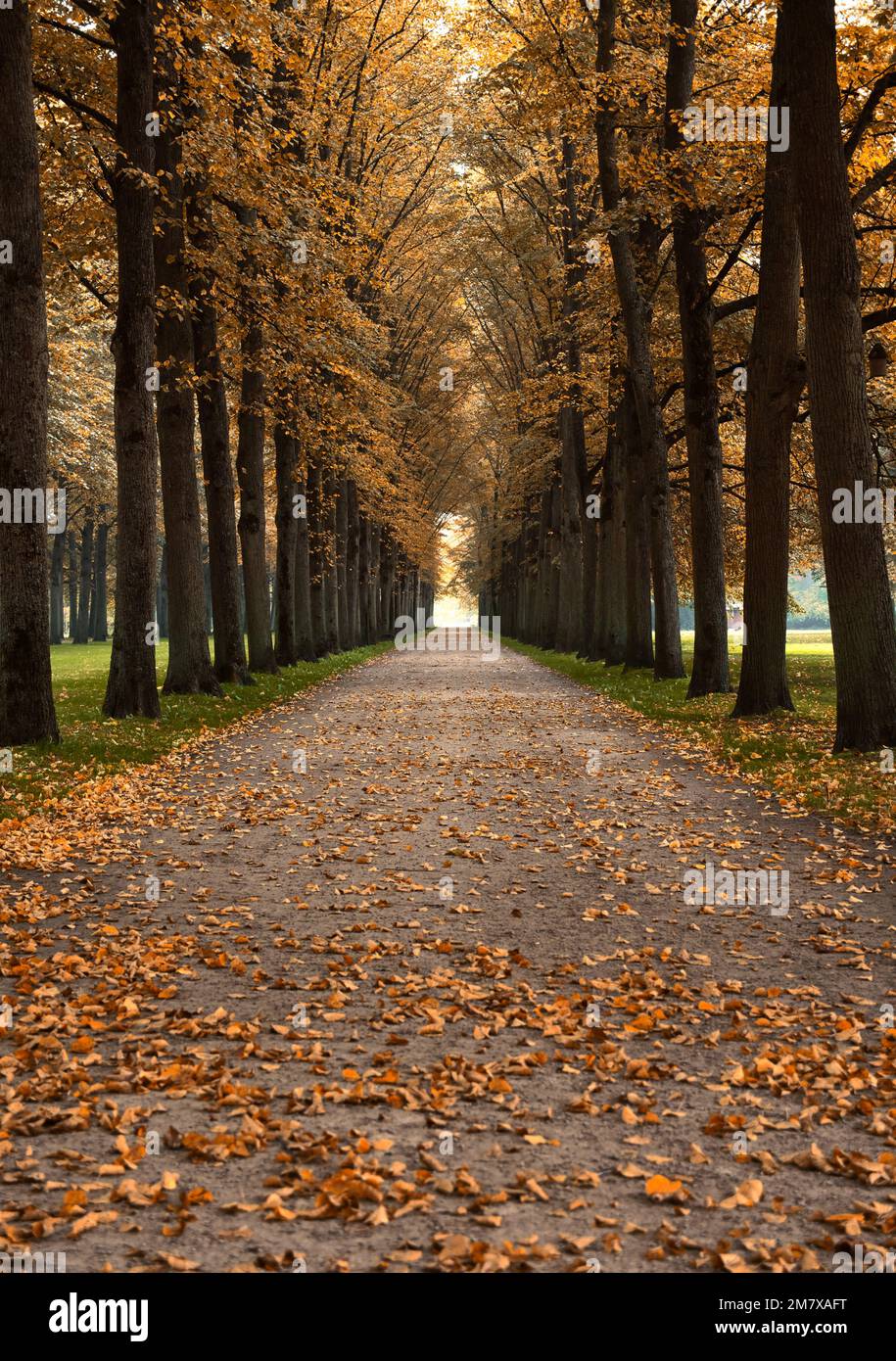 Symmetrical borders hi-res stock photography and images - Alamy