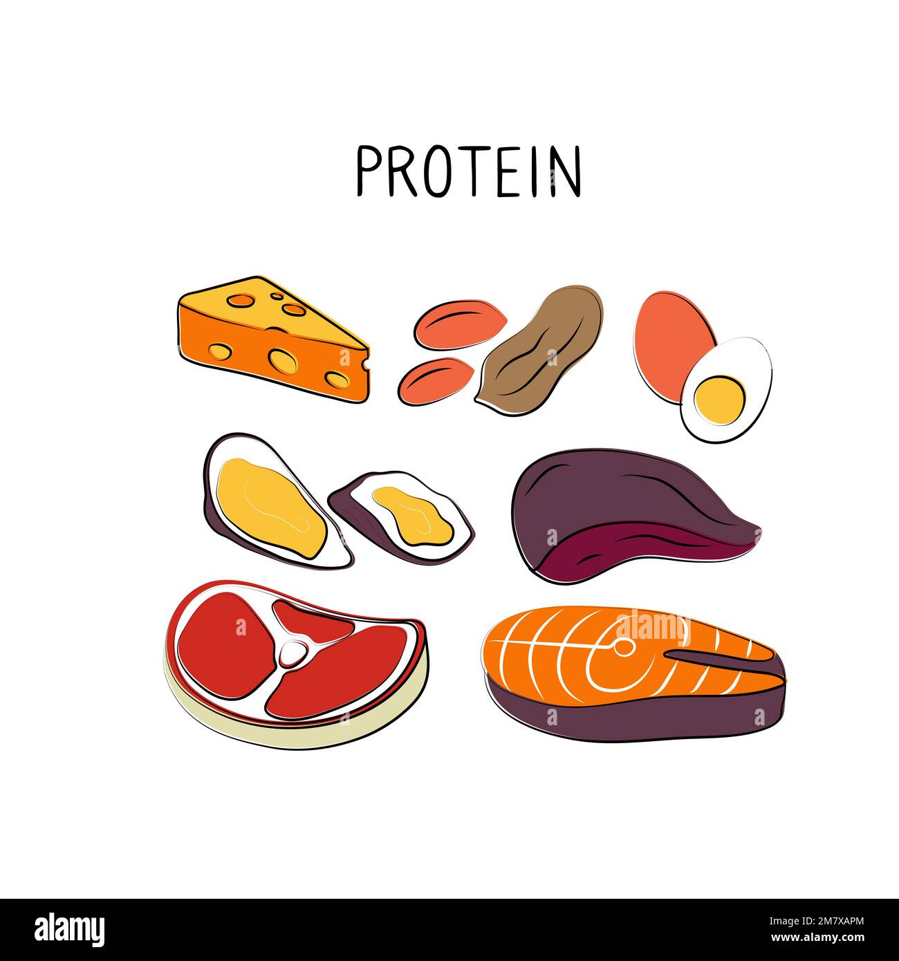 Protein-containing food. Groups of healthy products containing vitamins ...