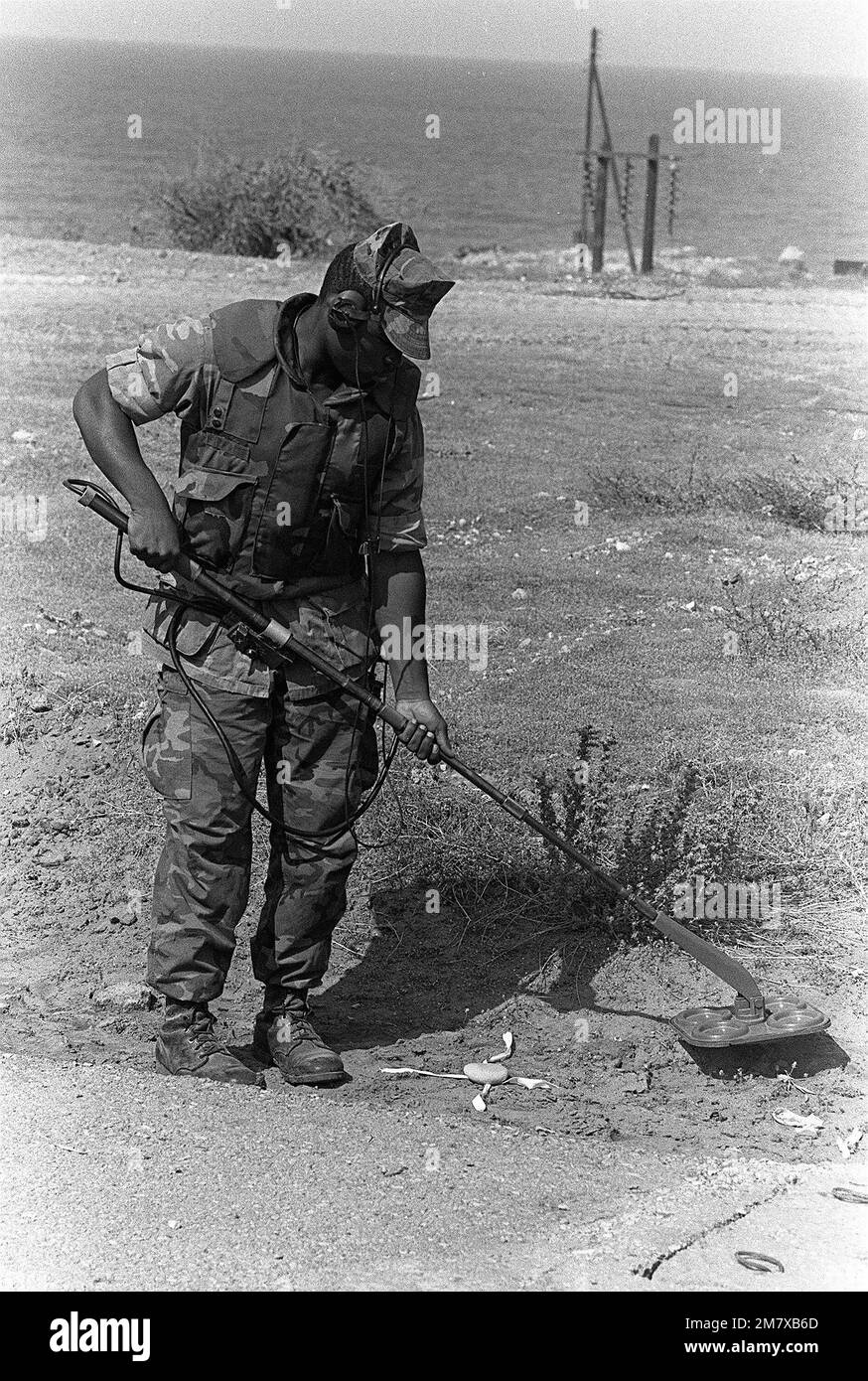 A member of an explosive ordnance disposal team uses a metal detector ...