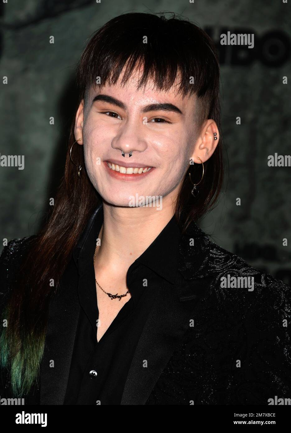 LOS ANGELES, CALIFORNIA - JANUARY 09: Ian Alexander attends the Los ...