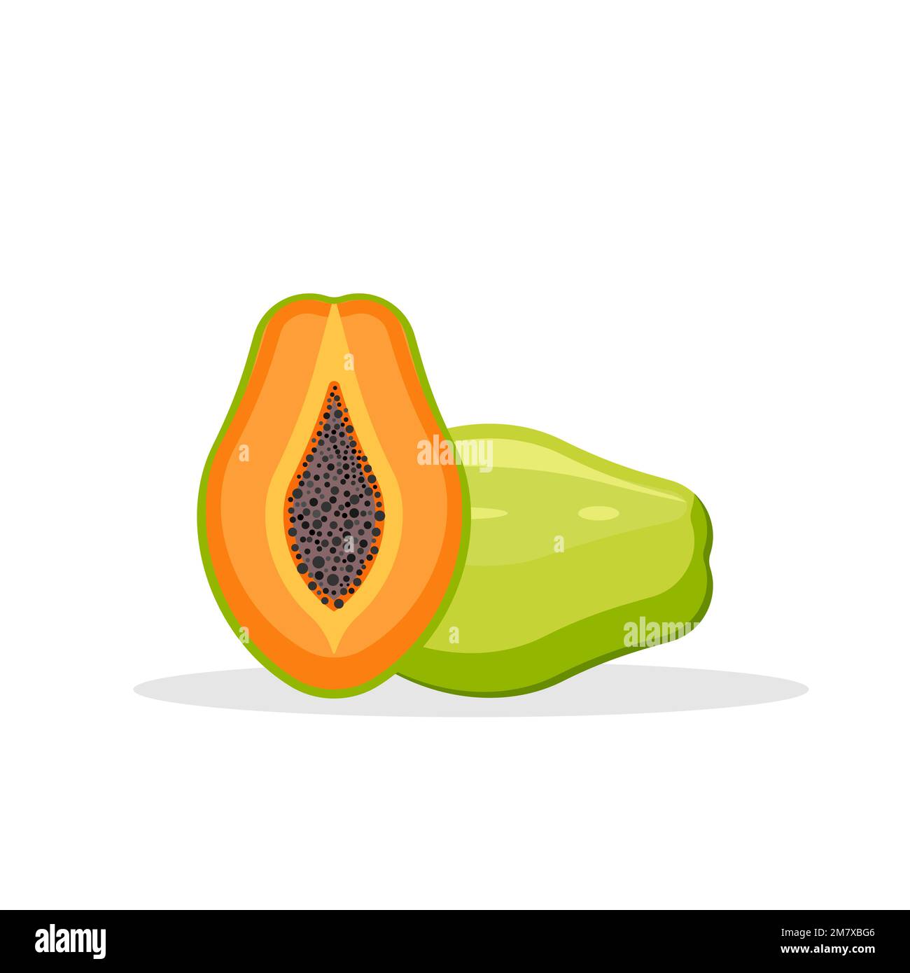 Papaya isolated on white background. Vector illustration. Eps 10 Stock ...