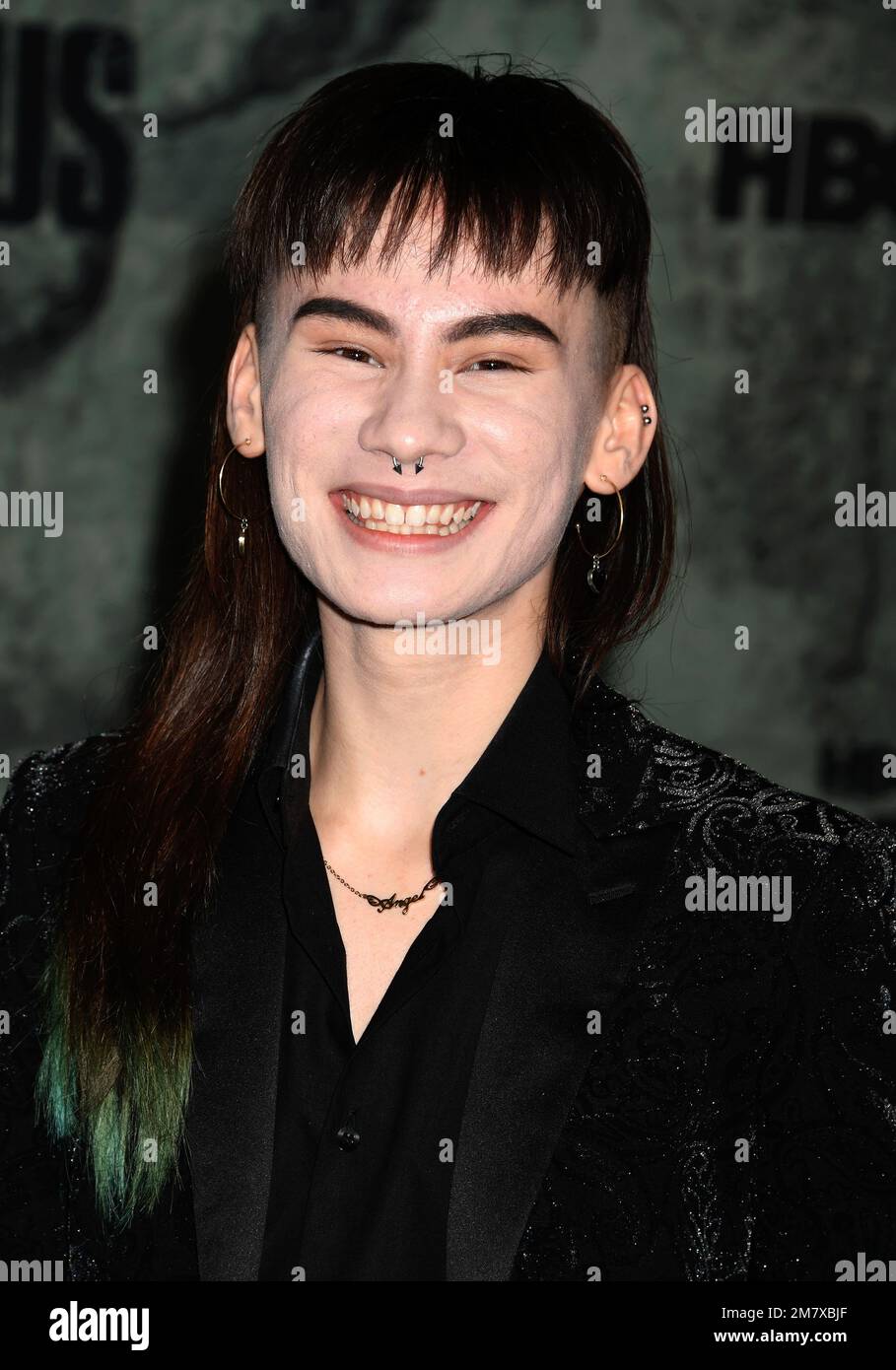 LOS ANGELES, CALIFORNIA - JANUARY 09: Ian Alexander attends the Los ...