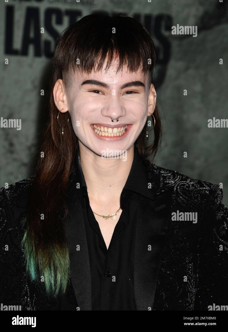 LOS ANGELES, CALIFORNIA - JANUARY 09: Ian Alexander attends the Los ...