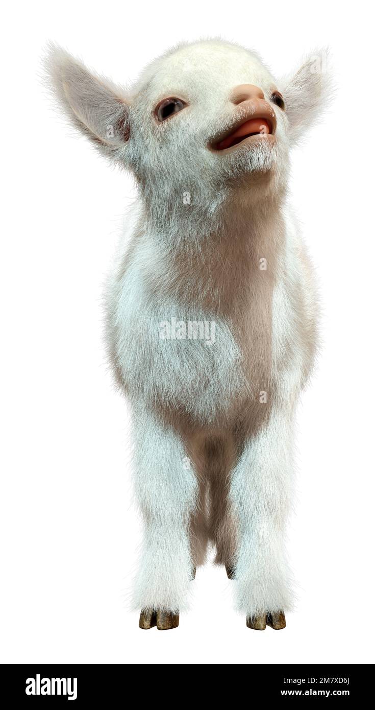 Baby Goat Meme