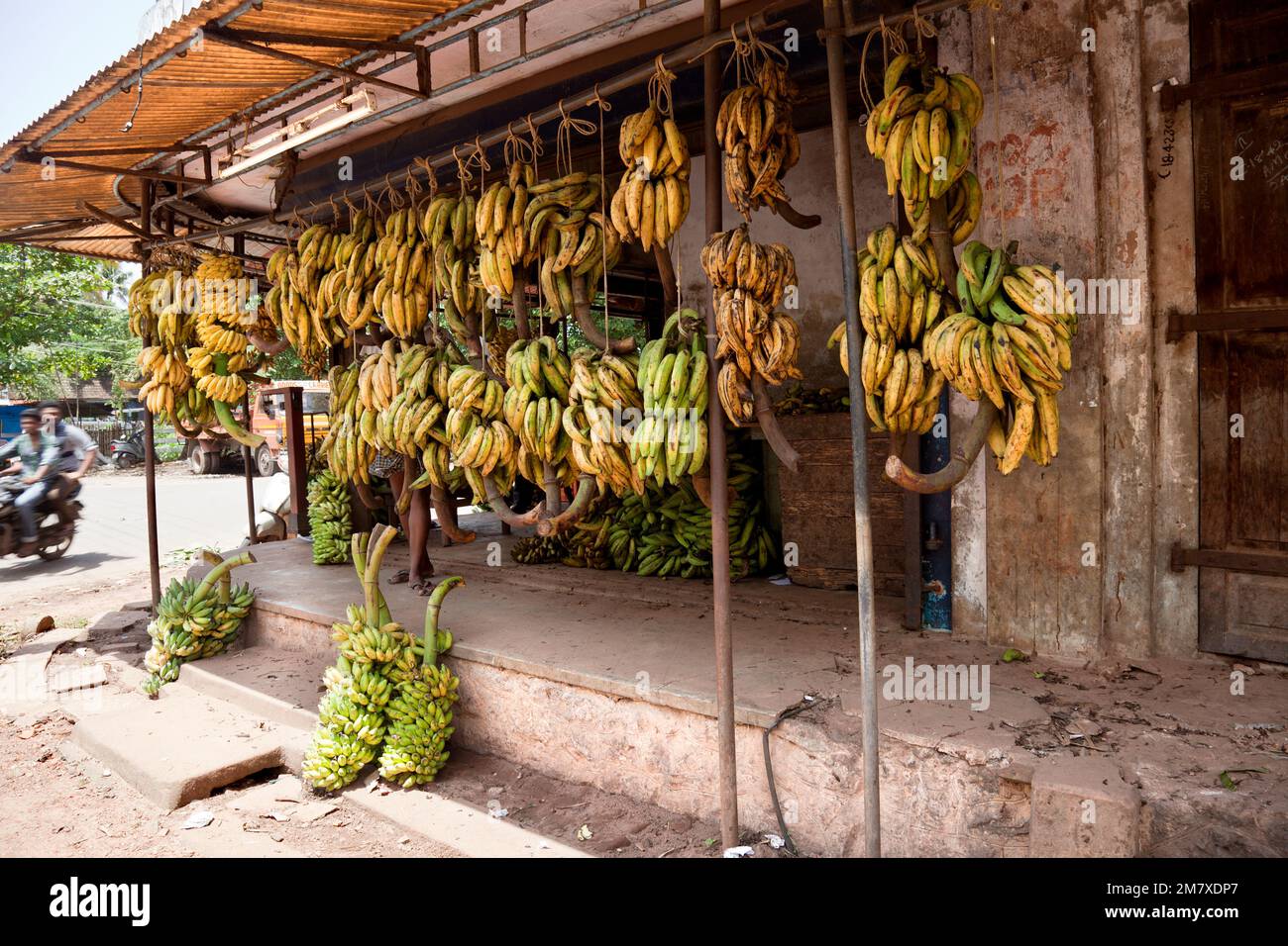 Bananas in stacks hi-res stock photography and images - Alamy