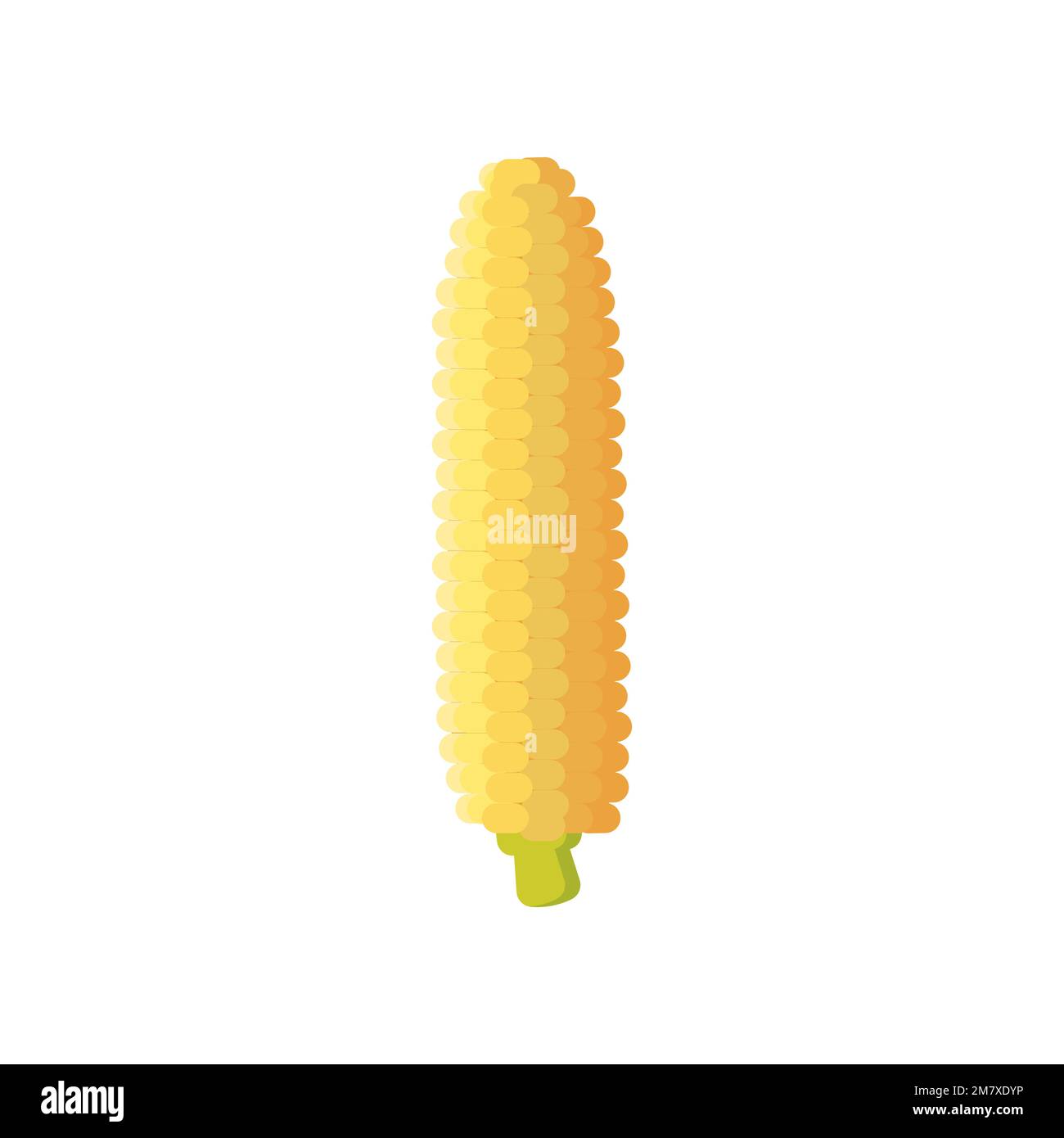 Corn icon. maize isolated on white background. Vector illustration. Eps ...